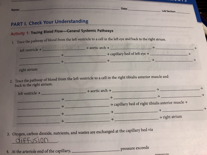 Solved Name: Date: Lab Section. PART I. Check Your | Chegg.com