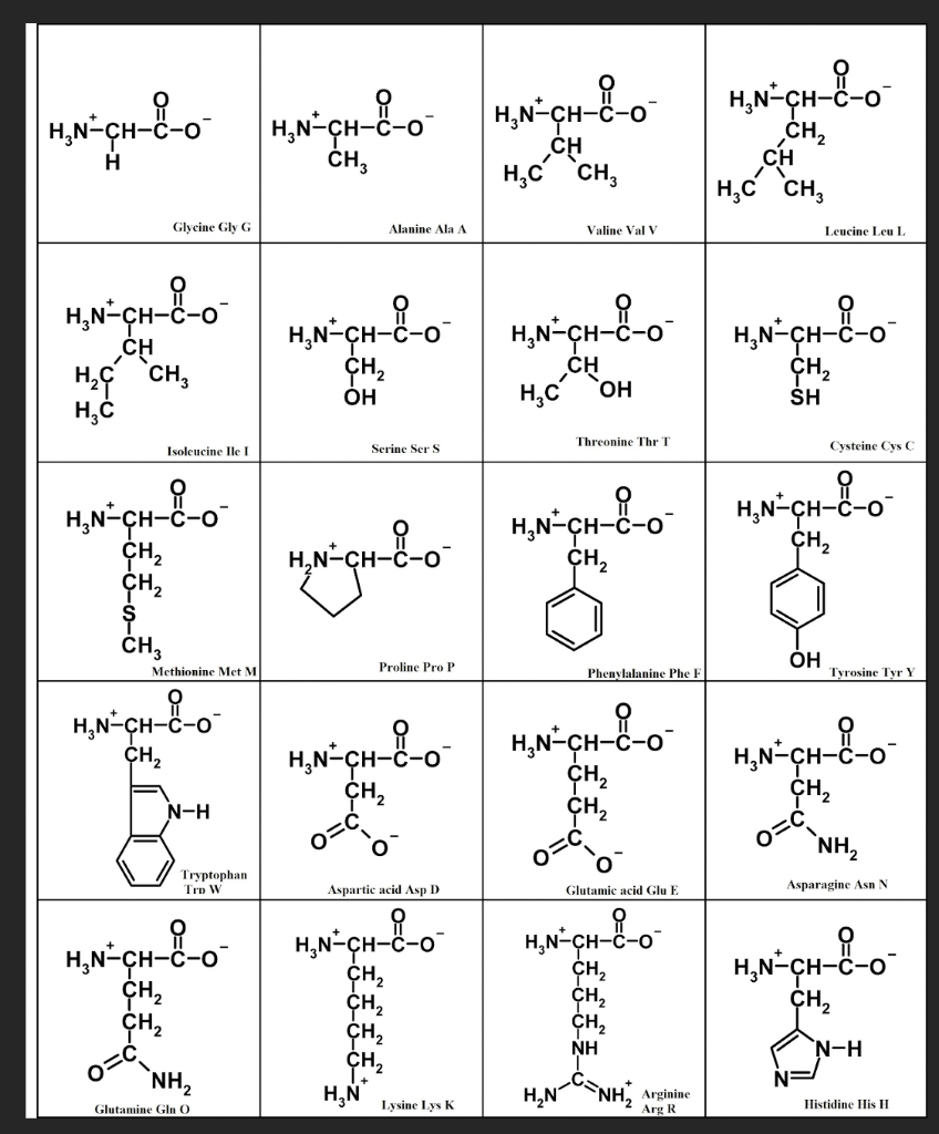 Solved Circle the side chains on each of the amino acids | Chegg.com