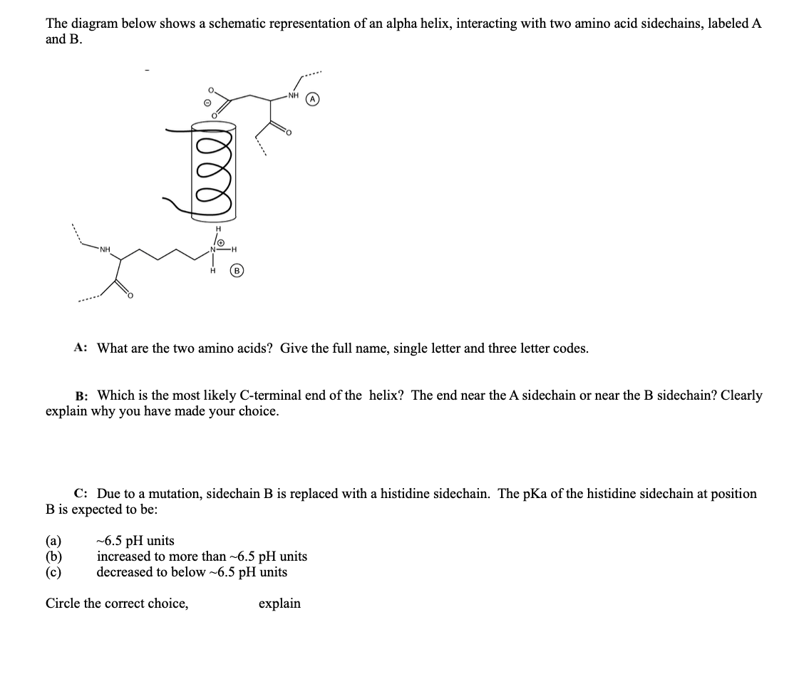 The diagram below shows a schematic representation of | Chegg.com