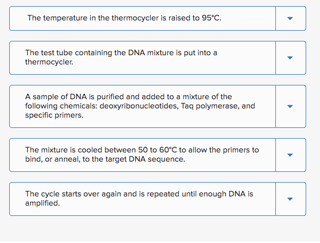 Solved Place the following steps in the correct order to | Chegg.com