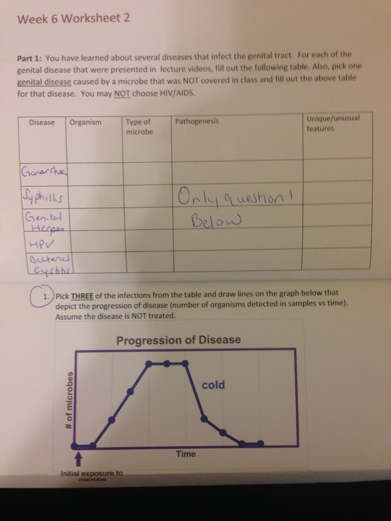 Solved Week 6 Worksheet 2 Part 1: You have learned about | Chegg.com
