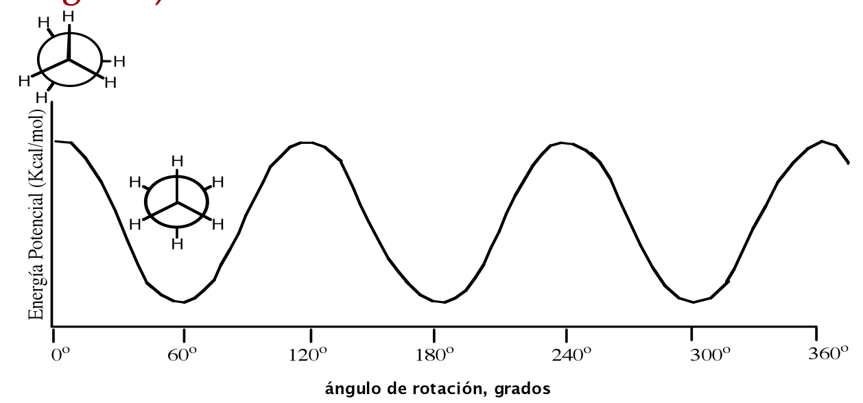 Solved 1. Draw the Newman projections associated with | Chegg.com