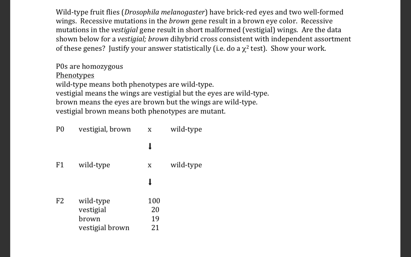 Solved Wild-type fruit flies (Drosophila melanogaster) have | Chegg.com