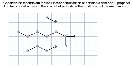 Solved Consider the mechanism for the Fischer esterification | Chegg.com