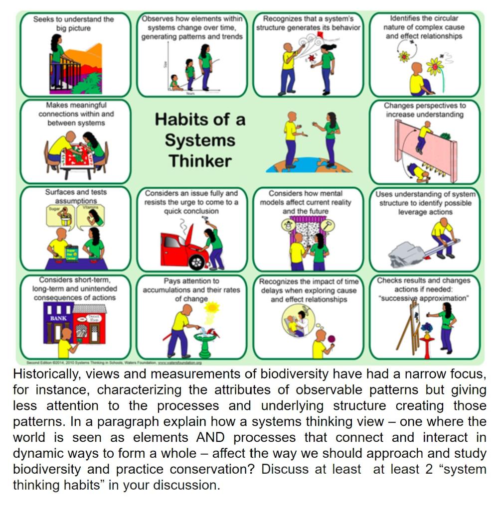 Solved Seeks to understand the big picture Observes how | Chegg.com