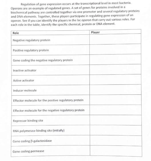Solved Regulation of gene expression occurs at the | Chegg.com