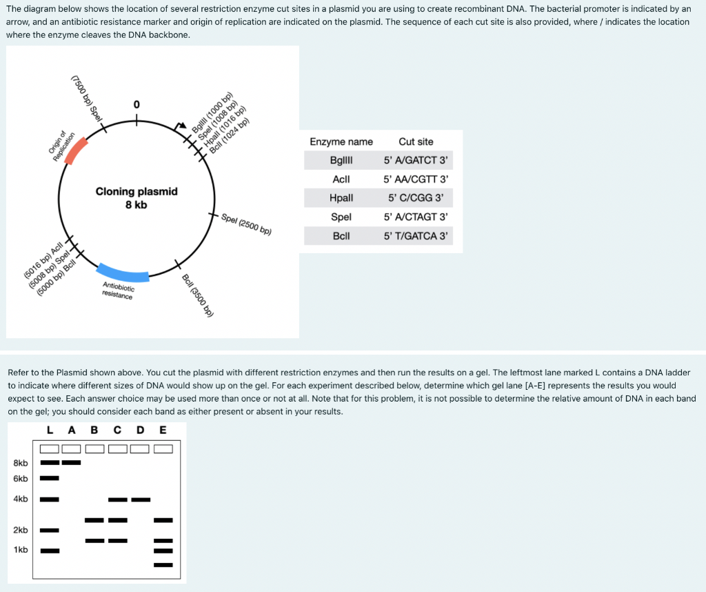 Solved The diagram below shows the location of several | Chegg.com