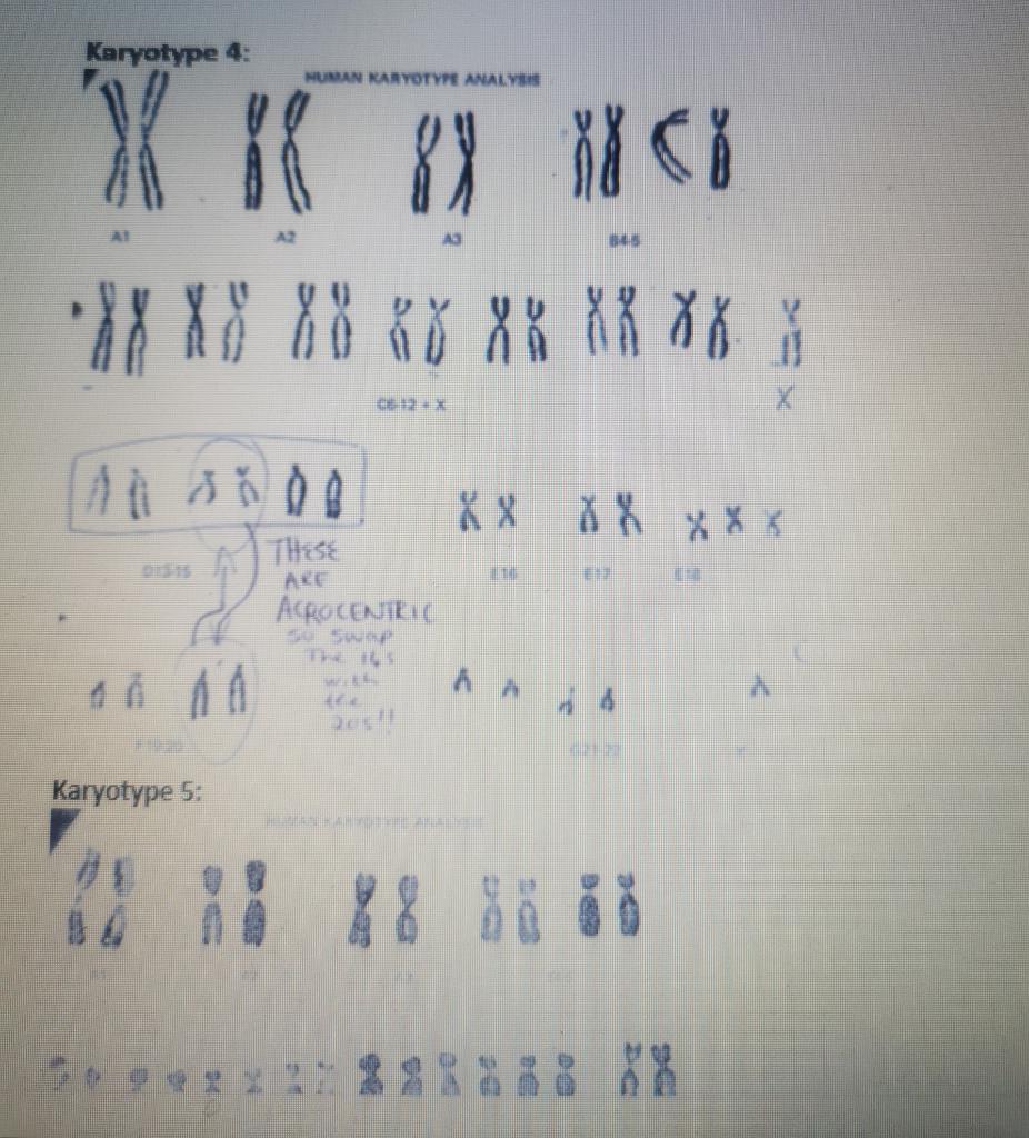 Solved Paragraph Question 6 - Human Karyotype Analysis (10 | Chegg.com