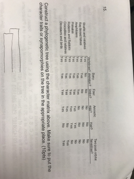 Solved Construct a phylogenetic tree using the character | Chegg.com