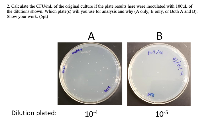 Solved 1. Which technique was used to inoculate the plate | Chegg.com