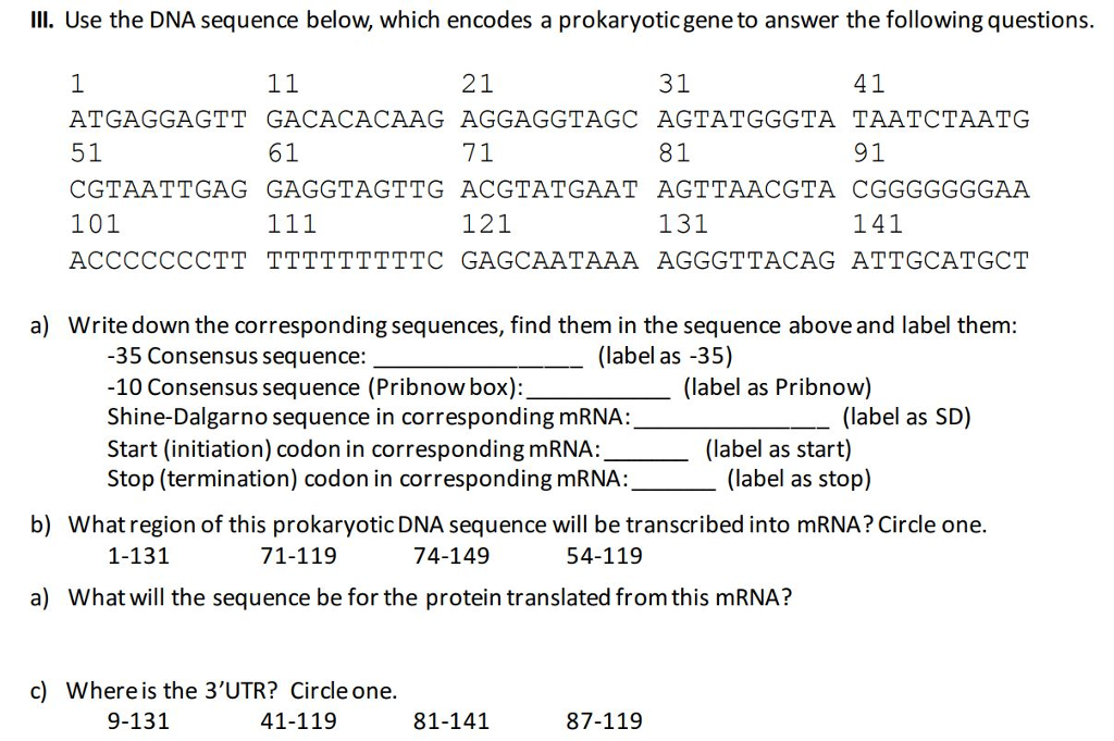 Solved Il. Use the DNA sequence below, which encodes a | Chegg.com