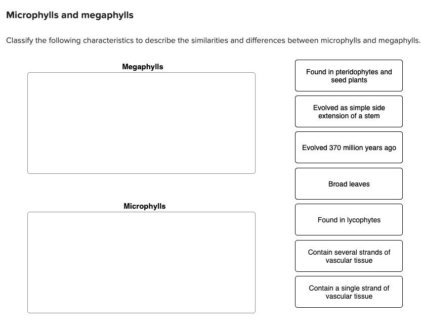Solved Microphylls and megaphylls Classify the following | Chegg.com