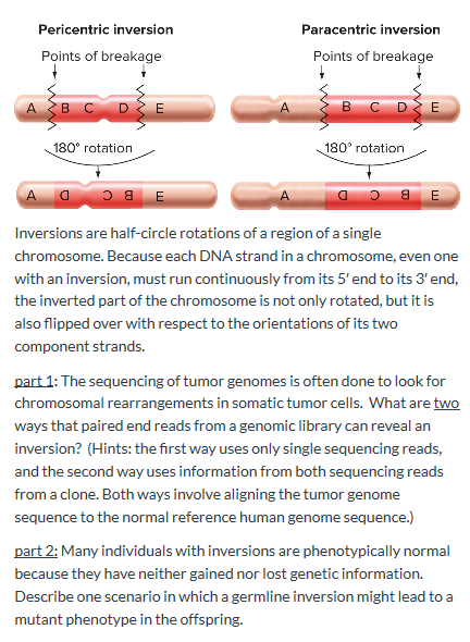 Solved Pericentric inversion Points of breakage Paracentric | Chegg.com