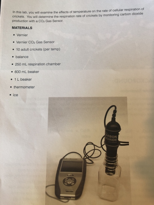 Solved b, you will examine the effects of temperature on | Chegg.com