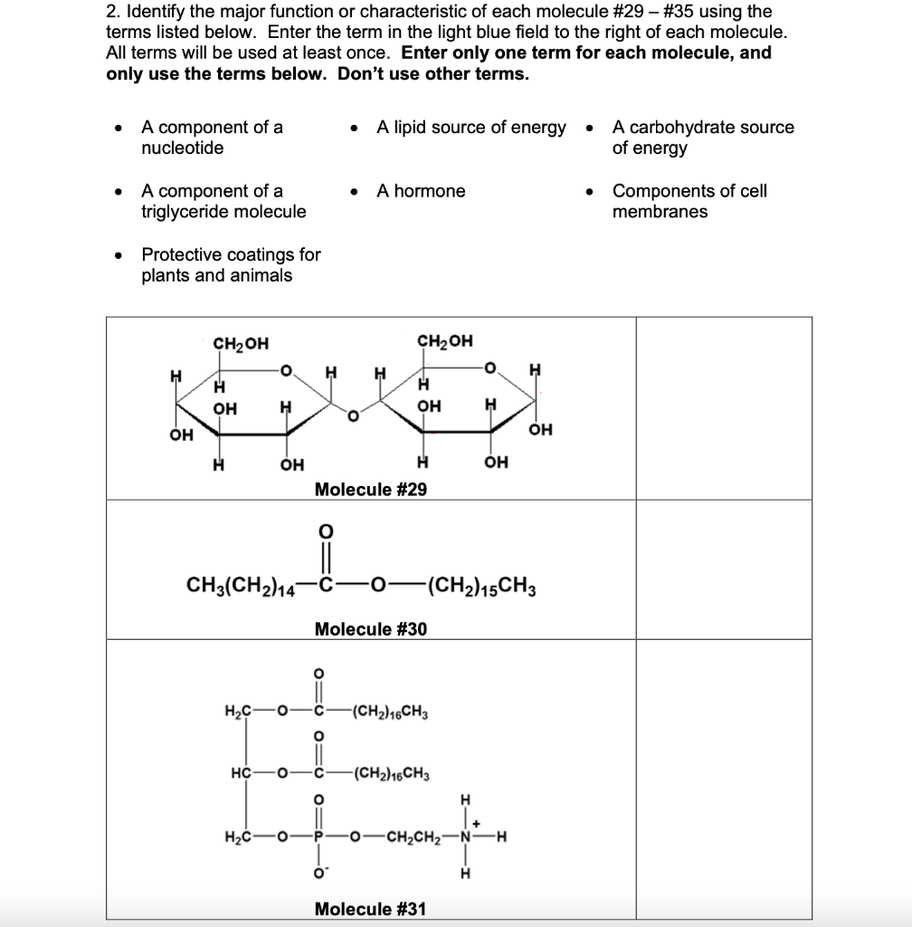 Solved BIOCHEMICAL MOLECULES - STRUCTURE AND FUNCTION ENTER | Chegg.com