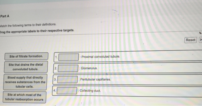 Solved Part A Match the following terms to their definitions | Chegg.com