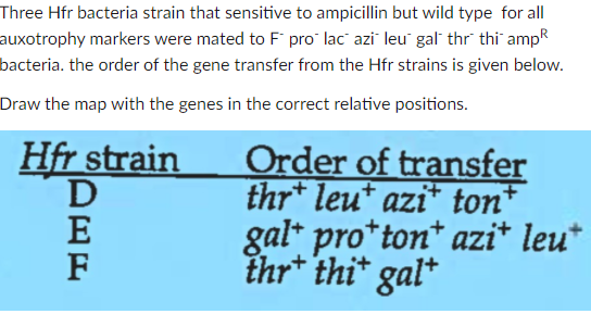 Solved Three Hfr bacteria strain that sensitive to | Chegg.com