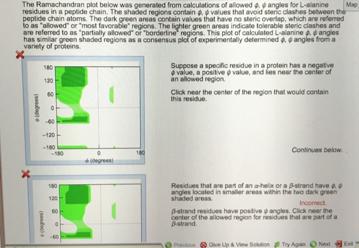 Solved The Ramachandran plot below was generated from | Chegg.com