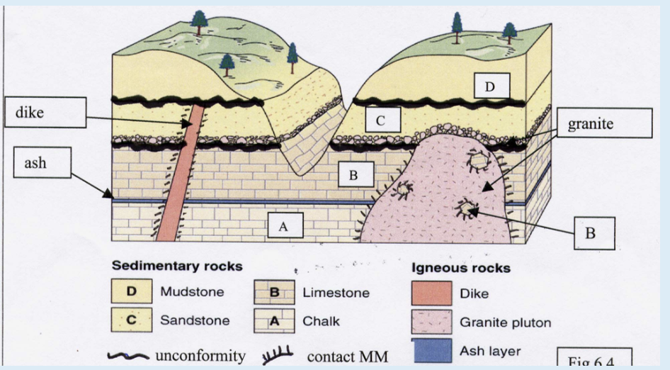 Solved dike granite ash Sedimentary rocks Igneous rocks D | Chegg.com