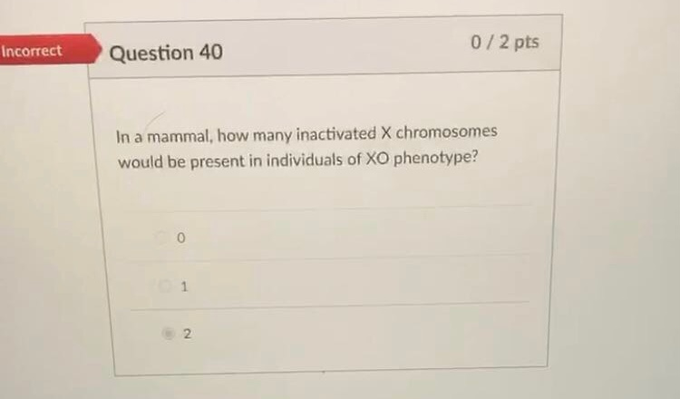 Solved Incorrect 0/2 pts Question 40 In a mammal, how many | Chegg.com
