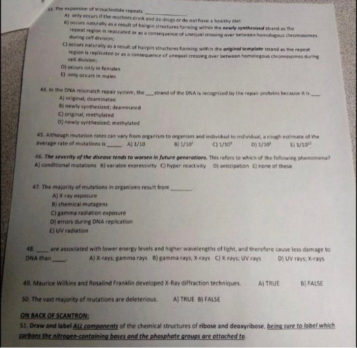Solved as the expansion of trinucleotide repeats A) anly | Chegg.com