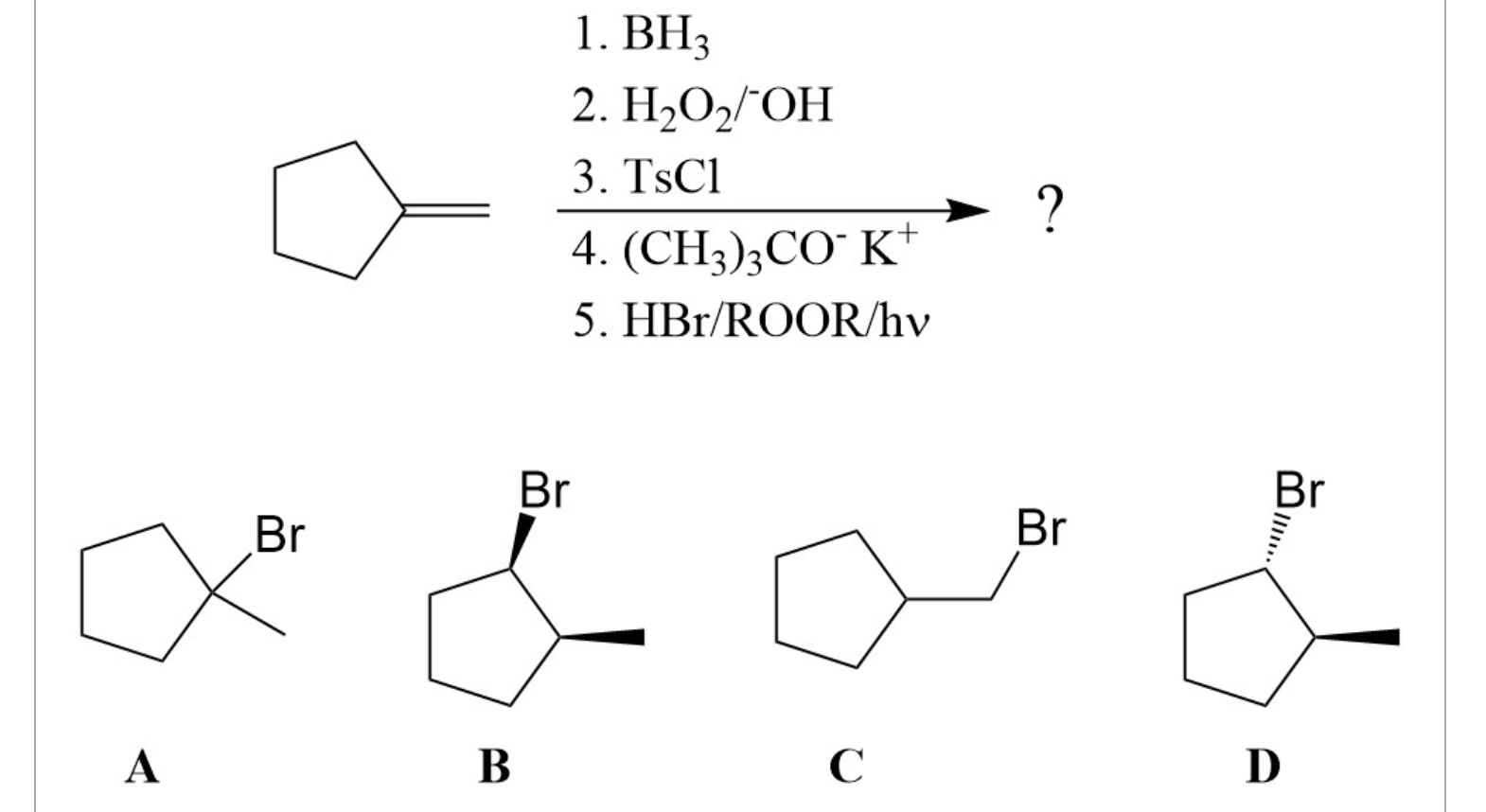 Solved 1. BH3 2. H2O2/OH 3. Tsci 4. (CH3)3CO-K 5. | Chegg.com