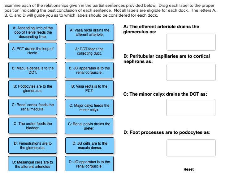 Solved Examine each of the relationships given in the | Chegg.com