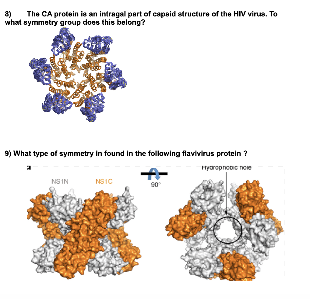 Solved 8) The CA protein is an intragal part of capsid | Chegg.com