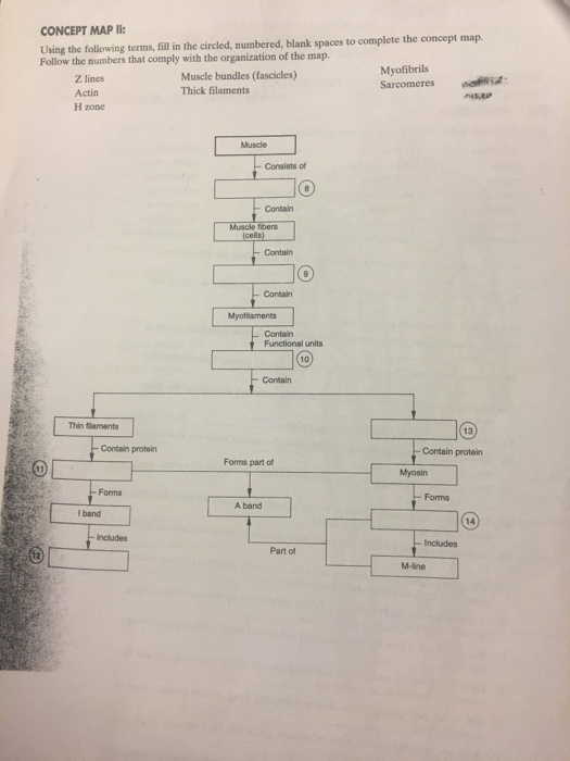Solved Using the following terms, fill in the circled, | Chegg.com