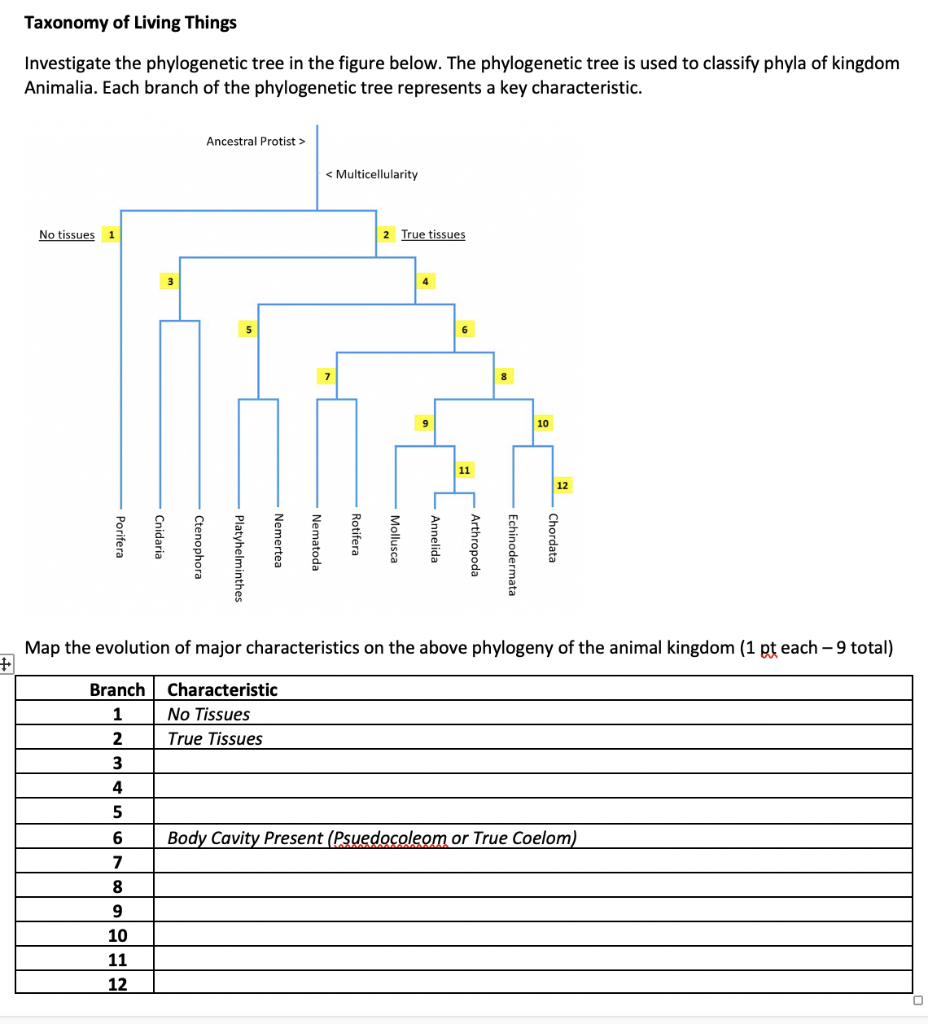 Solved Taxonomy of Living Things Investigate the | Chegg.com