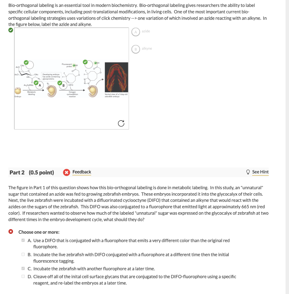 Solved Bio-orthogonal labeling is an essential tool in | Chegg.com