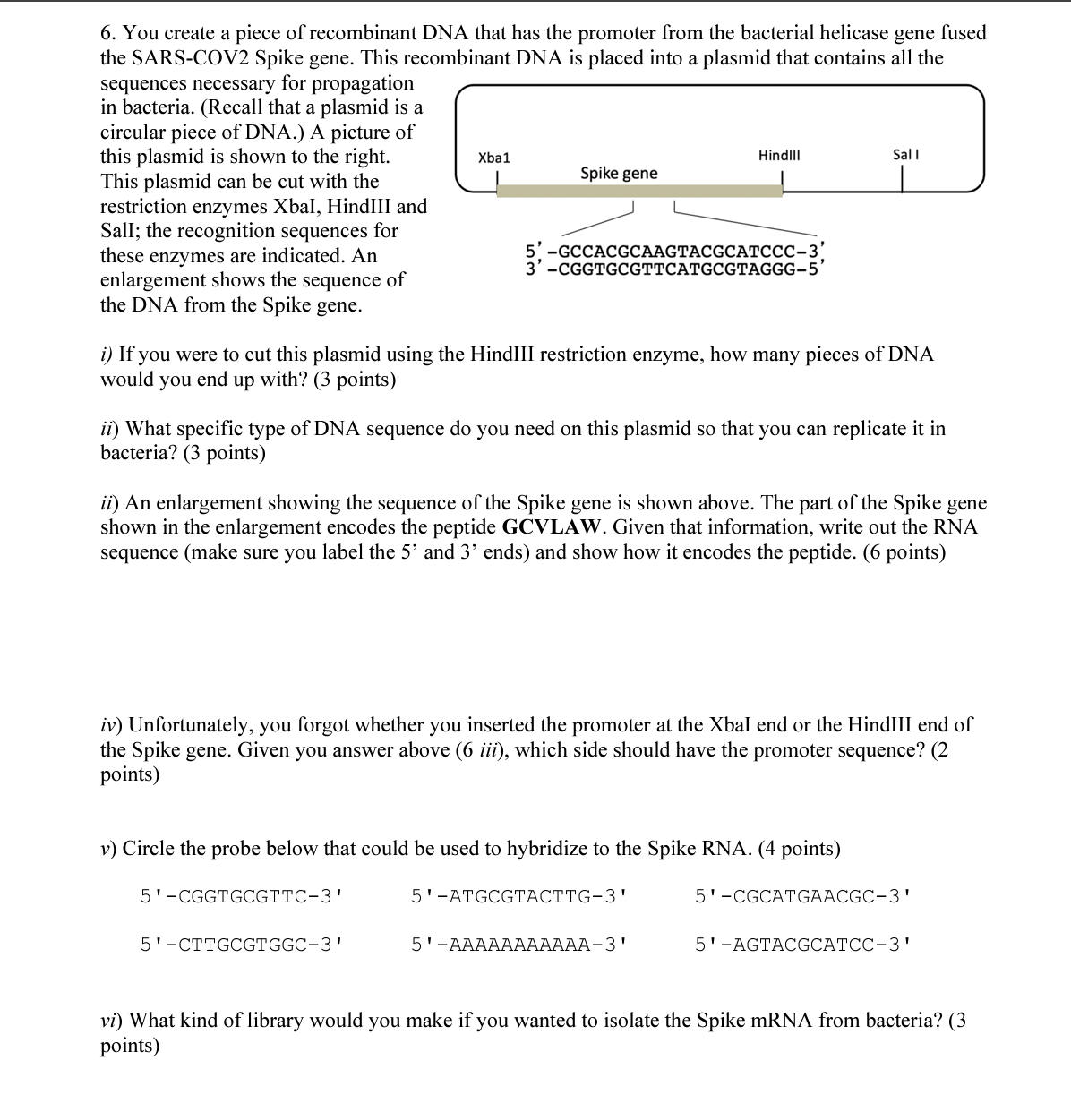 Solved You create a piece of recombinant DNA that has the | Chegg.com