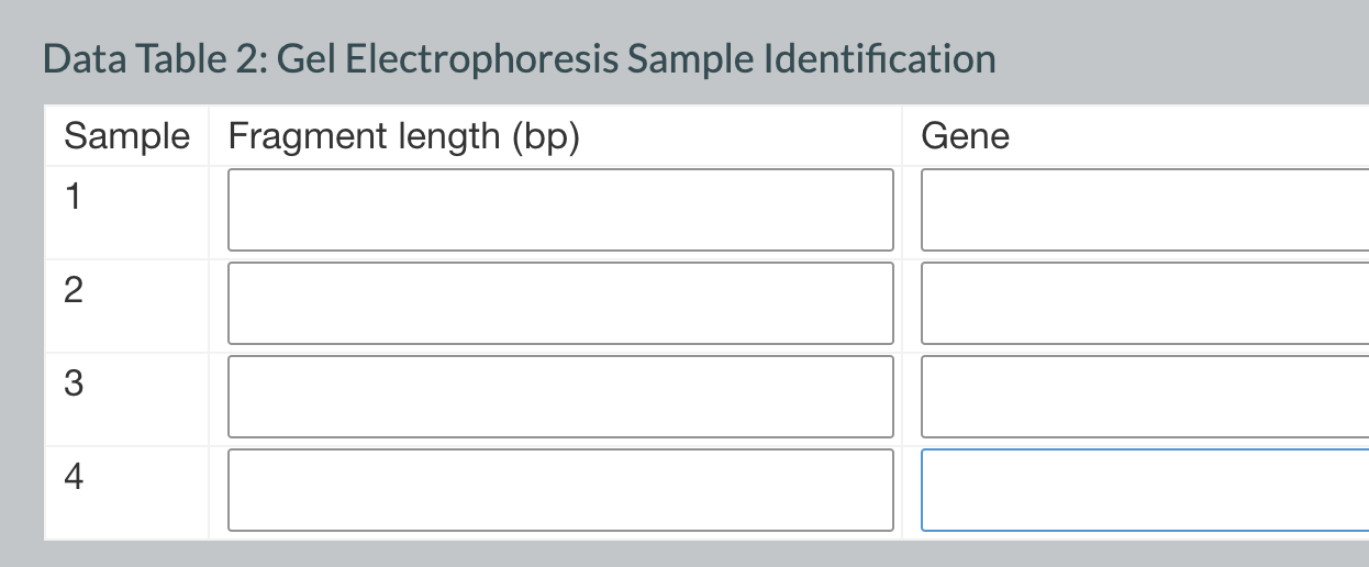 Solved 1. Record the base pair lengths for each of the | Chegg.com