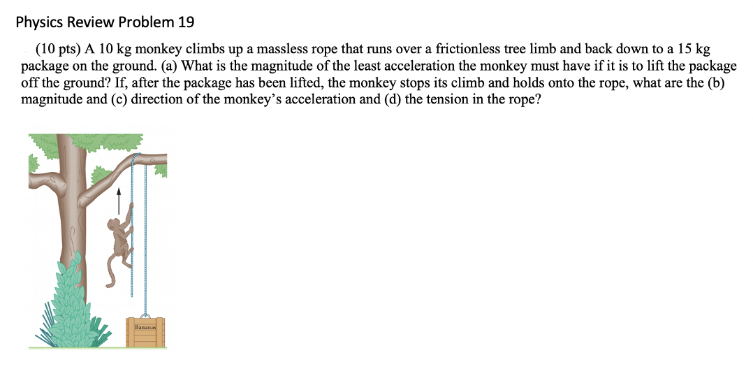 Solved Physics Review Problem 19 (10 pts) A 10 kg monkey | Chegg.com