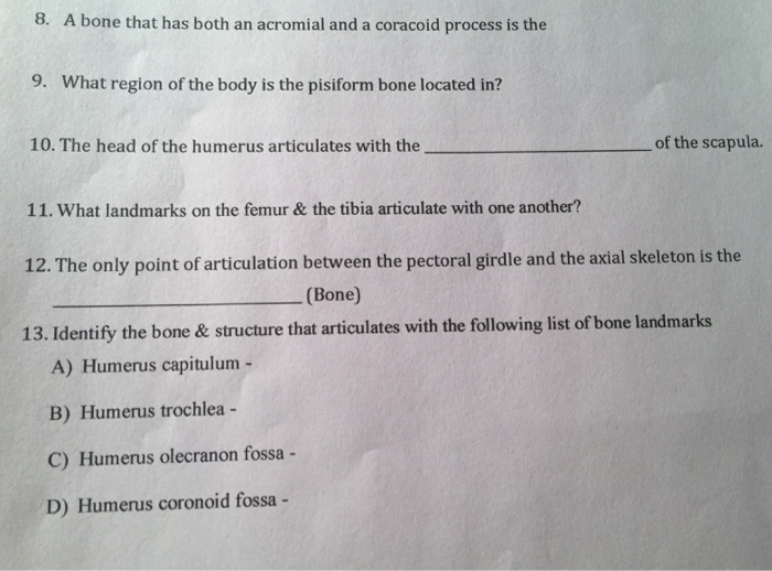 Solved 8. A bone that has both an acromial and a coracoid | Chegg.com