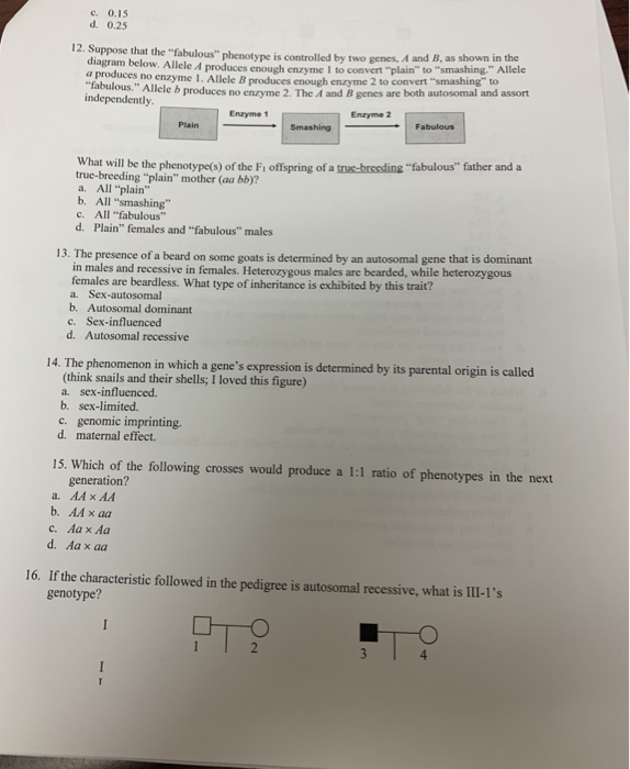 Solved Multiple Choice: Do all. Three points each 1. Two gen | Chegg.com