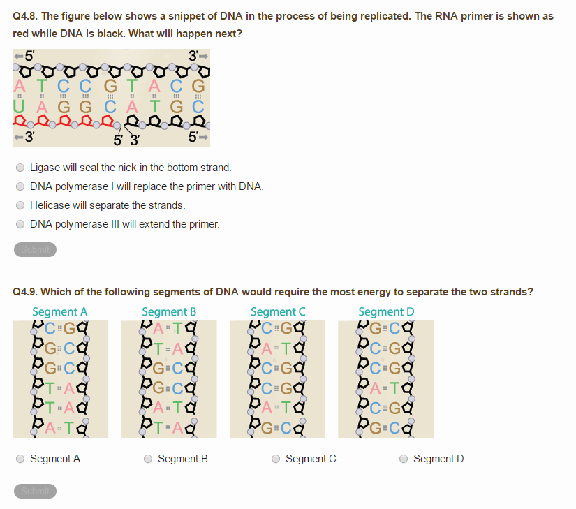 Solved: Q4.8. The Figure Below Shows A Snippet Of DNA In T... | Chegg.com