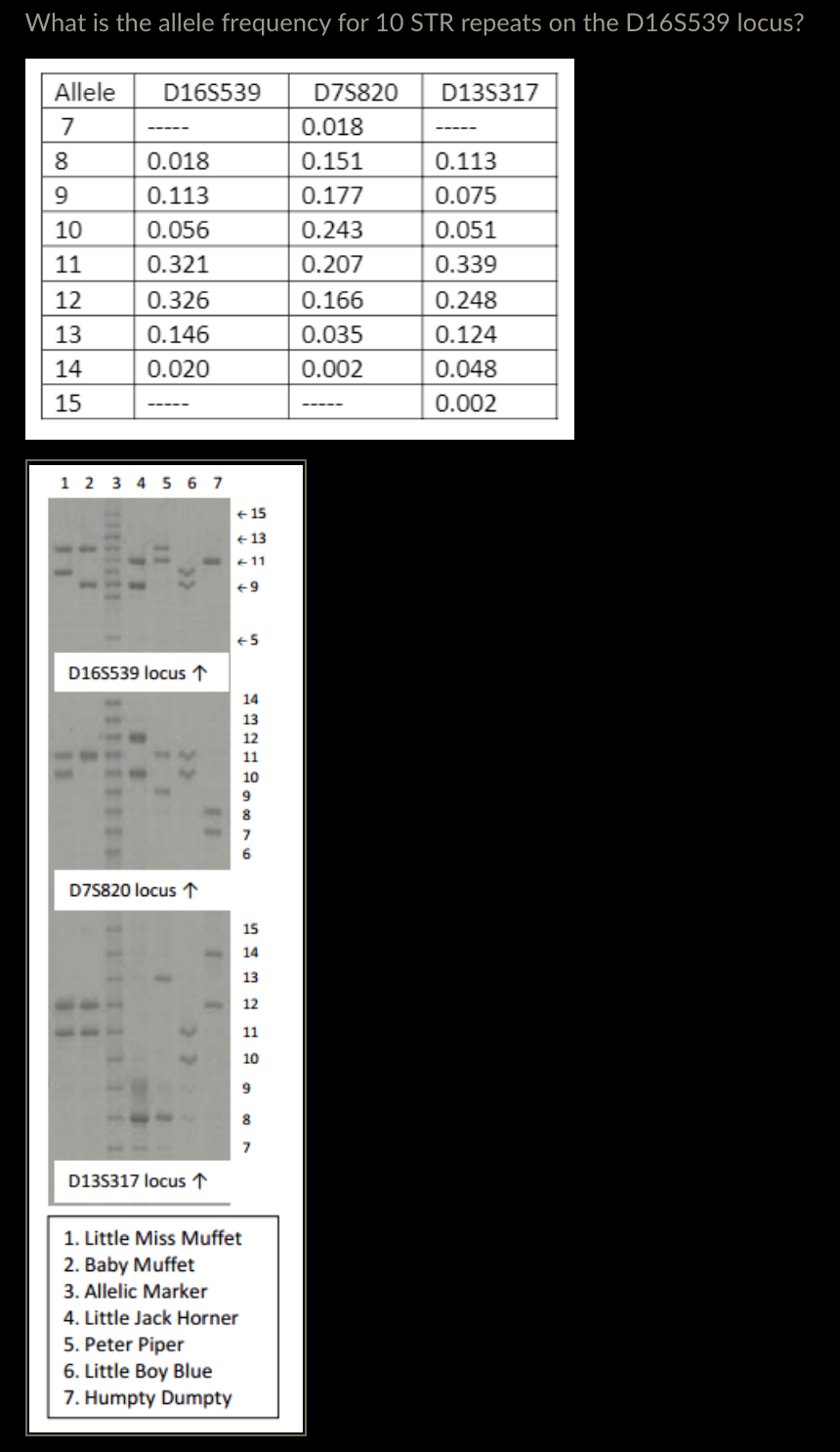 Solved What is the allele frequency for 10 STR repeats on | Chegg.com