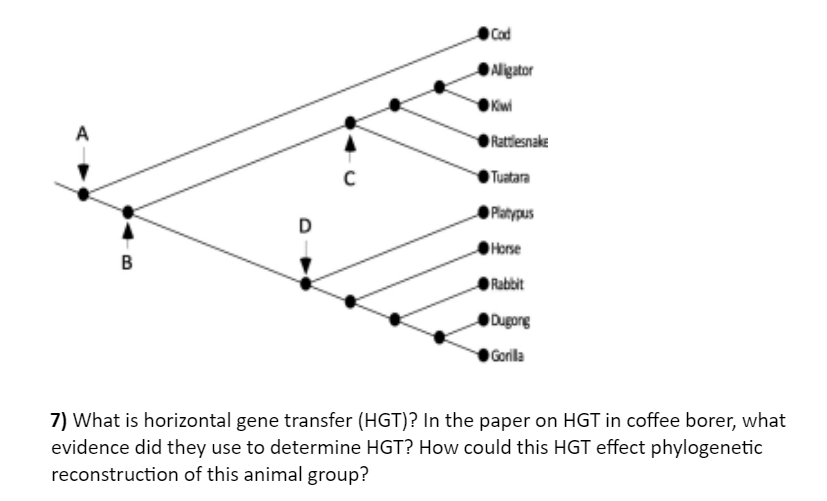 Solved 7) What is horizontal gene transfer (HGT)? In the | Chegg.com