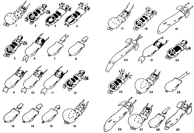 Classifying A Group of Imaginary Organisms Last name | Chegg.com