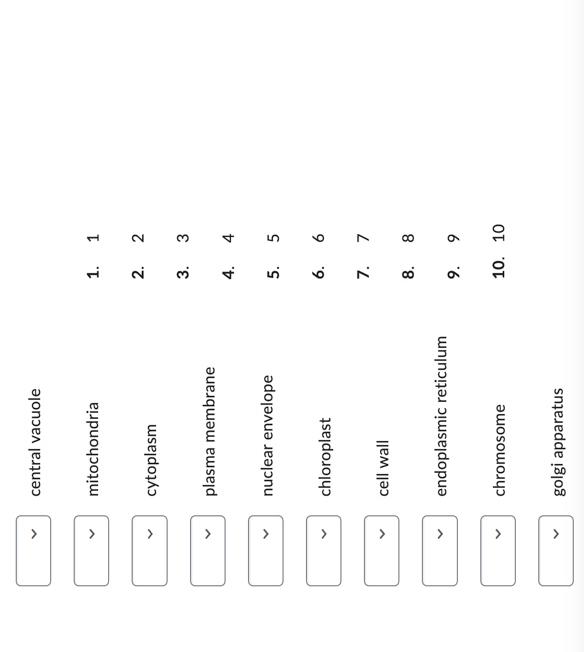 Solved Match the plant cell structure label with its proper | Chegg.com