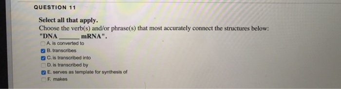 Solved Question 8 Select All Correct Answers Which Of The