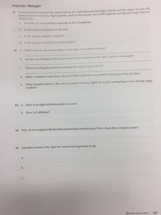 Solved Name EXERCISE 13 Bacteria and Protists Section Number | Chegg.com