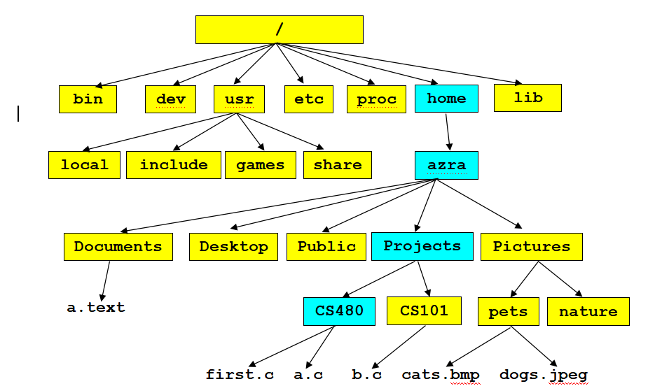 Solved Perform the following tasks given below and give | Chegg.com
