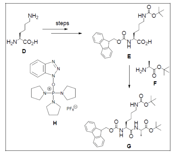 D HThe carbamate protecting groups on the α-amine and | Chegg.com