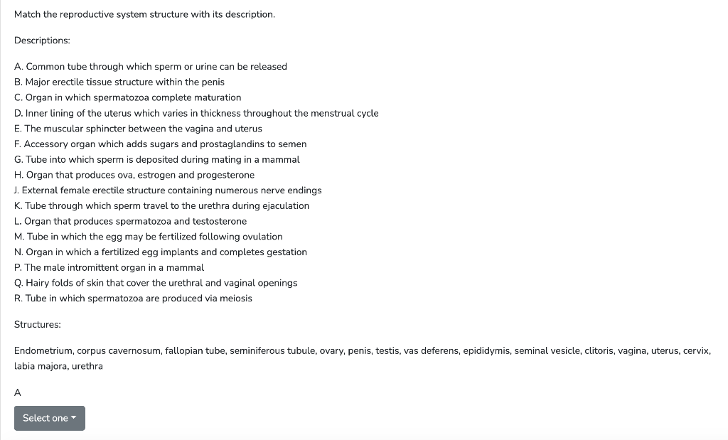 Solved Match the reproductive system structure with its | Chegg.com
