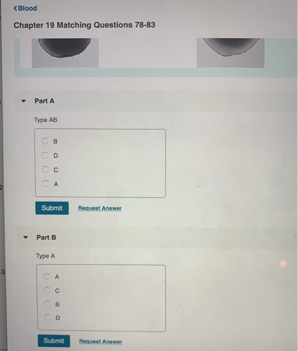 Solved Chapter 19 Matching Questions 78-83 Match the | Chegg.com