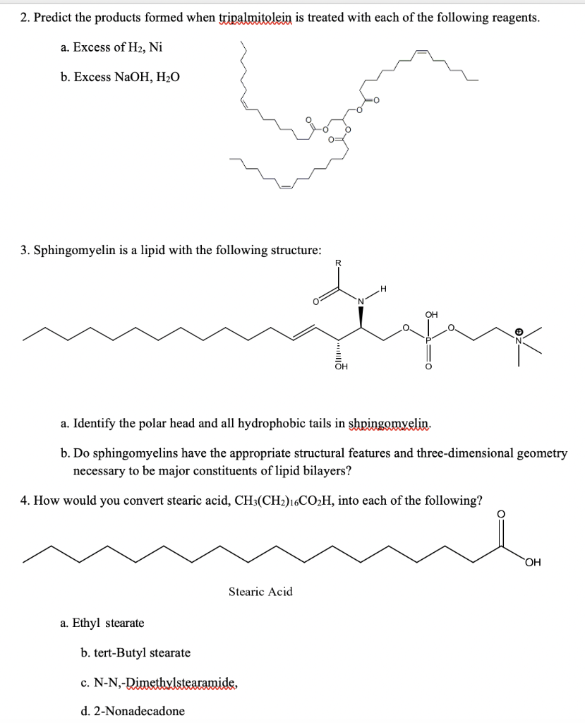Solved 2. Predict the products formed when tripalmitolein is | Chegg.com
