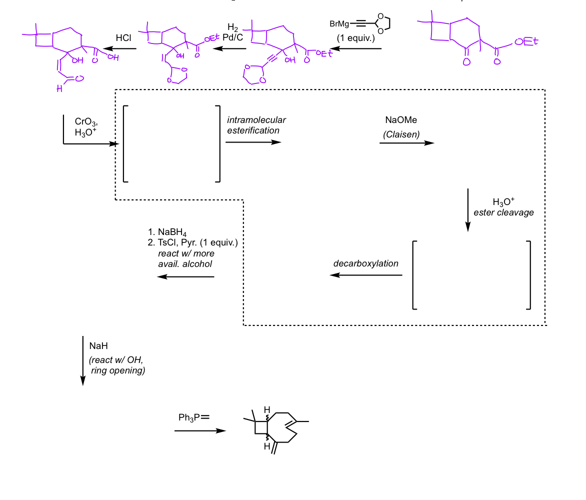 Solved 1. Please complete the reaction map. 2. In the dotted | Chegg.com