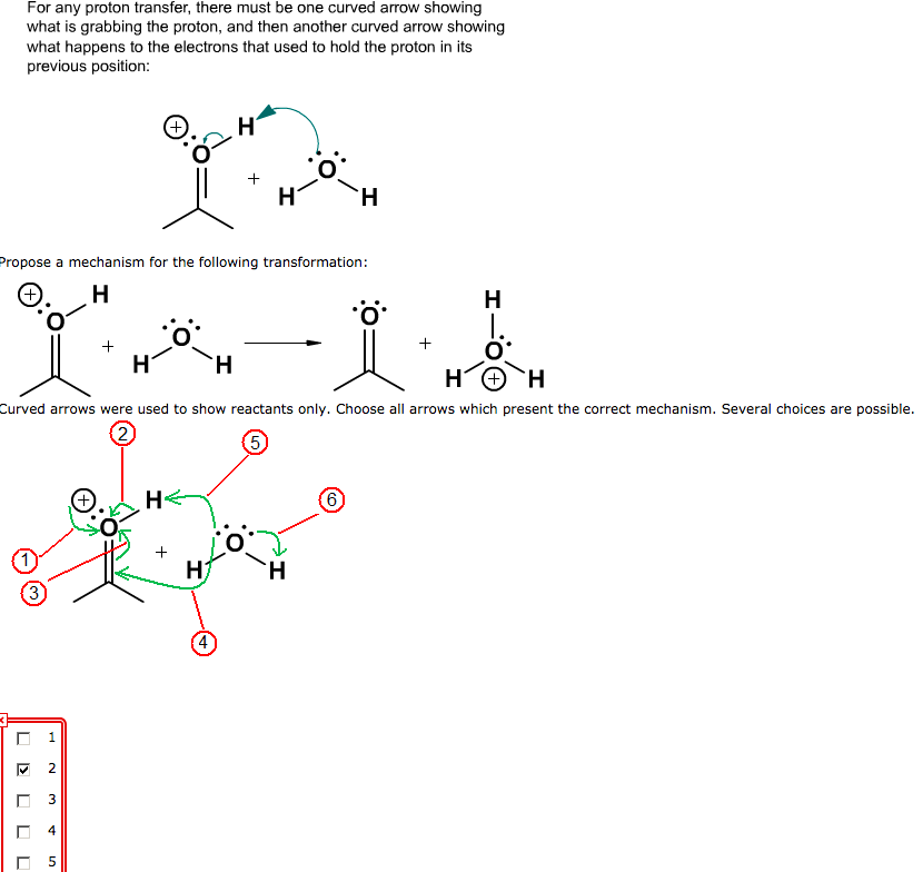 Solved For any proton transfer, there must be one curved | Chegg.com